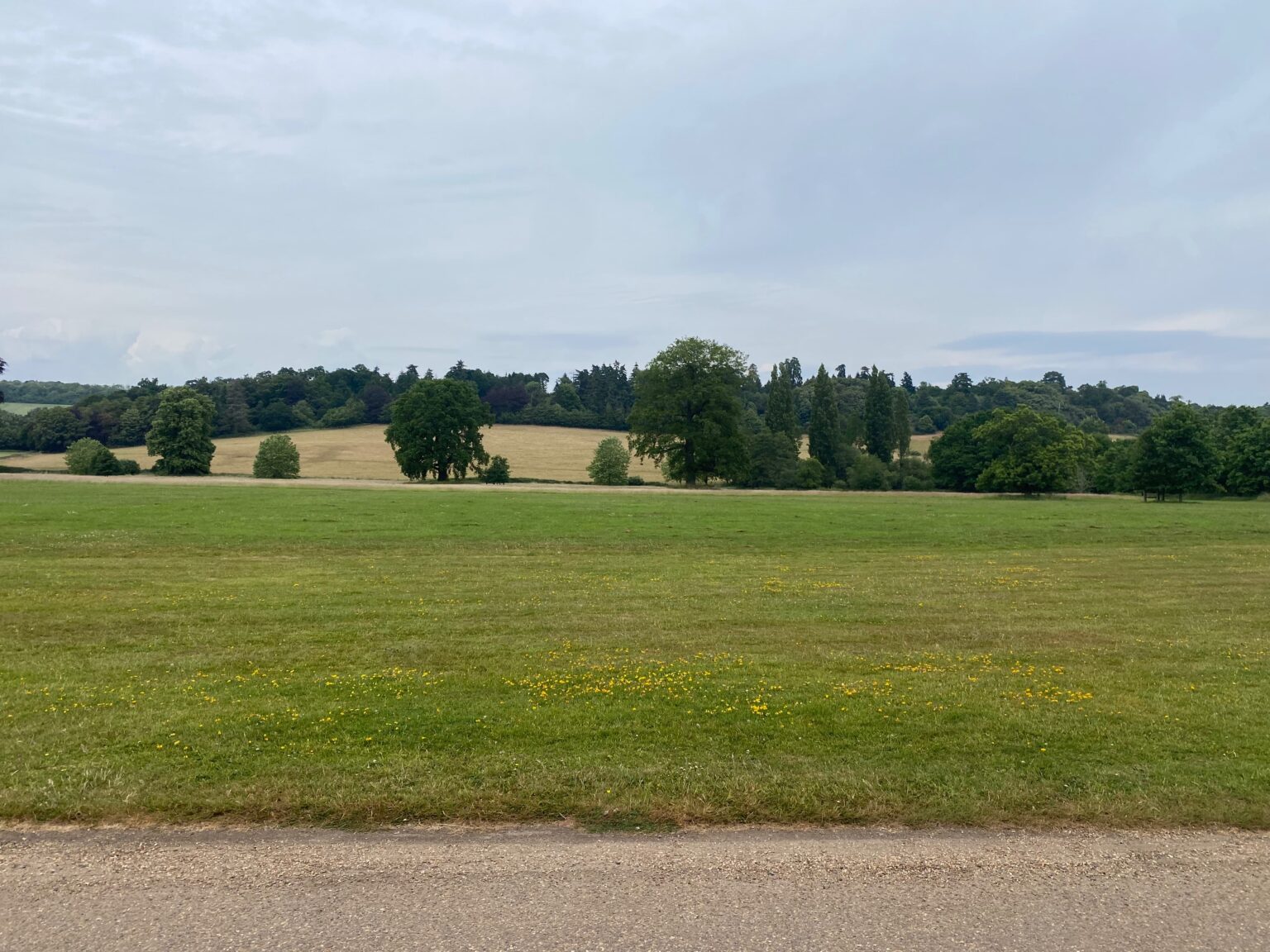 Visit Loseley Park - Midsomer’s Magna Manor & Morchard Manor ...